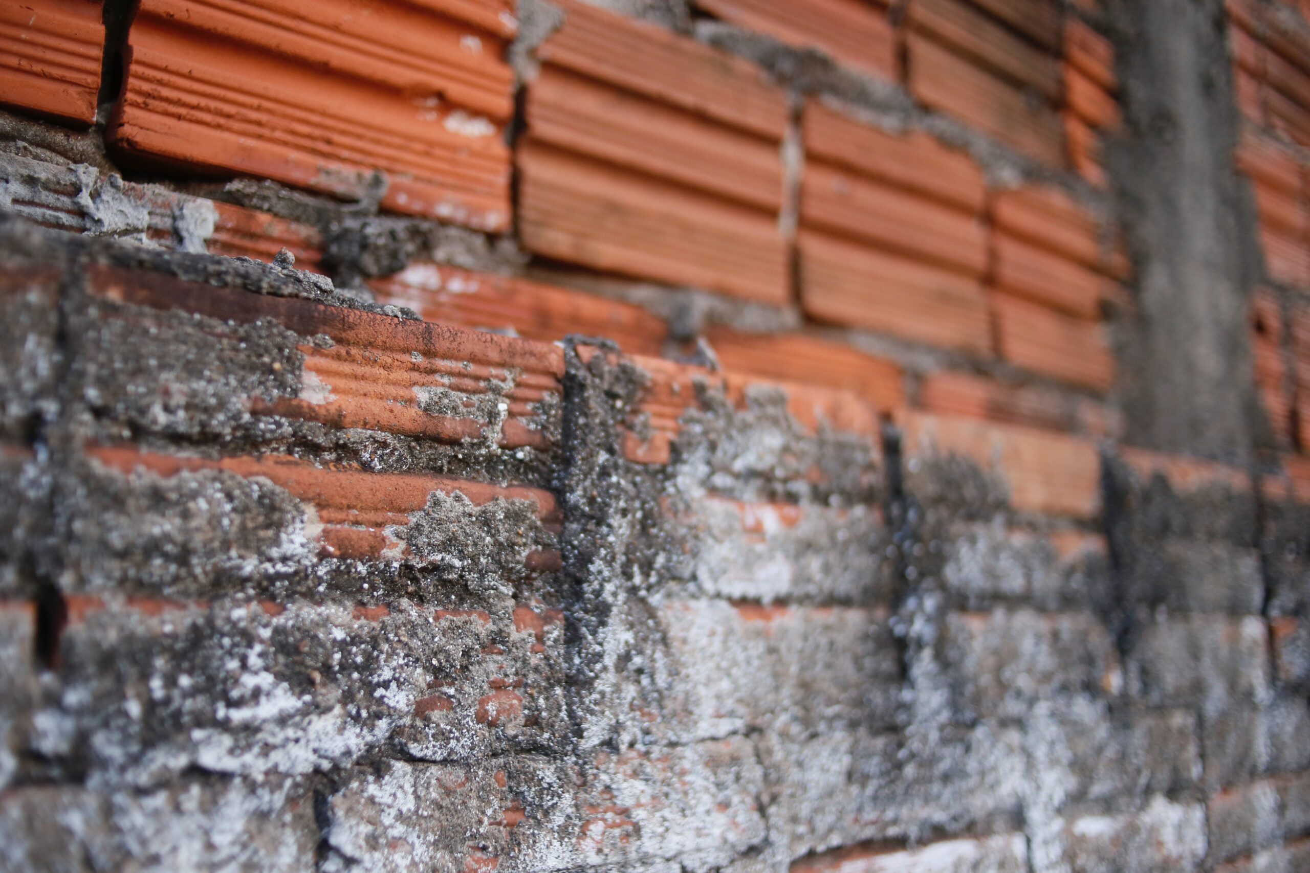 3 Best Ways to Prevent Mold in Your House - The Michelle Hirsch Group ...