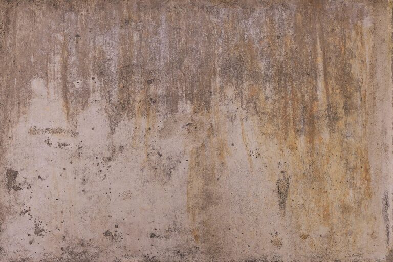 Easy DIY Ways to Remove Rust Stains from Concrete - The Michelle Hirsch ...