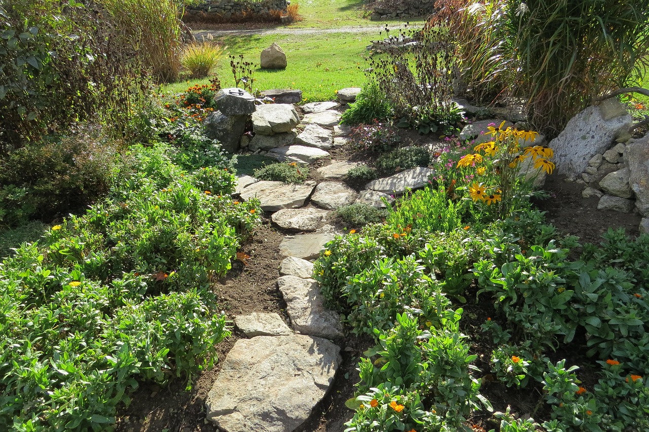 Step Into Style: Build Your Own DIY Stone Pathway - The Michelle Hirsch ...