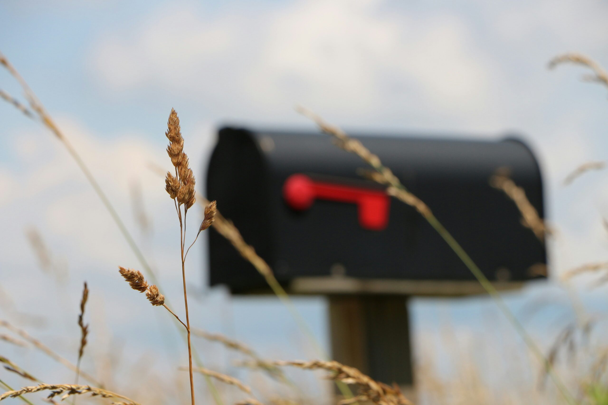 Build It Yourself: A Simple Wooden Mailbox Post That Lasts - The ...