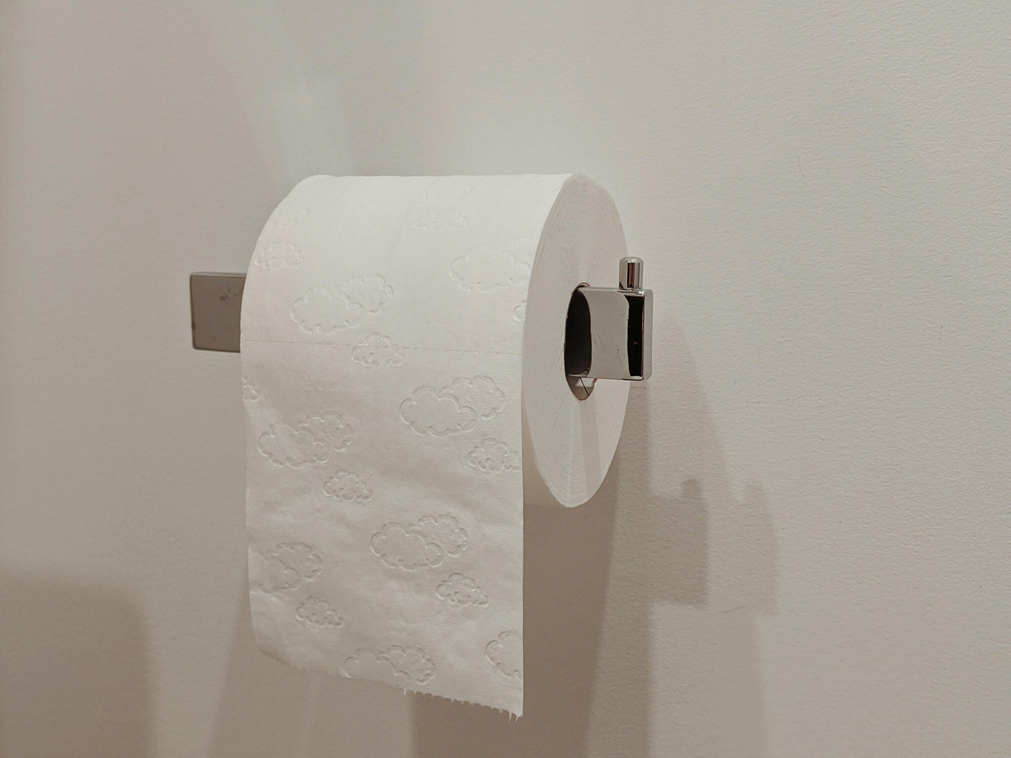 That Wobbly Toilet Paper Holder Fix You Can Do in 10 Minutes - The ...