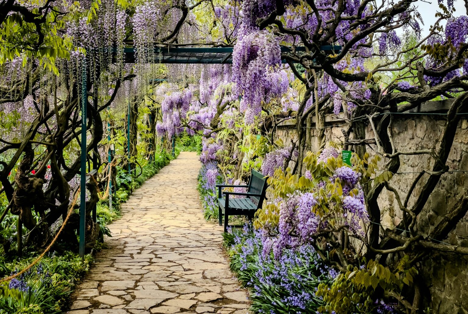An Easy DIY Fix for a Sunken Garden Walkway - The Michelle Hirsch Group ...